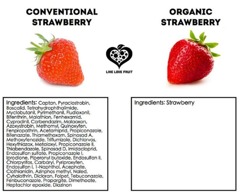 Why Organic Food is So Expensive – The Transformed Wife