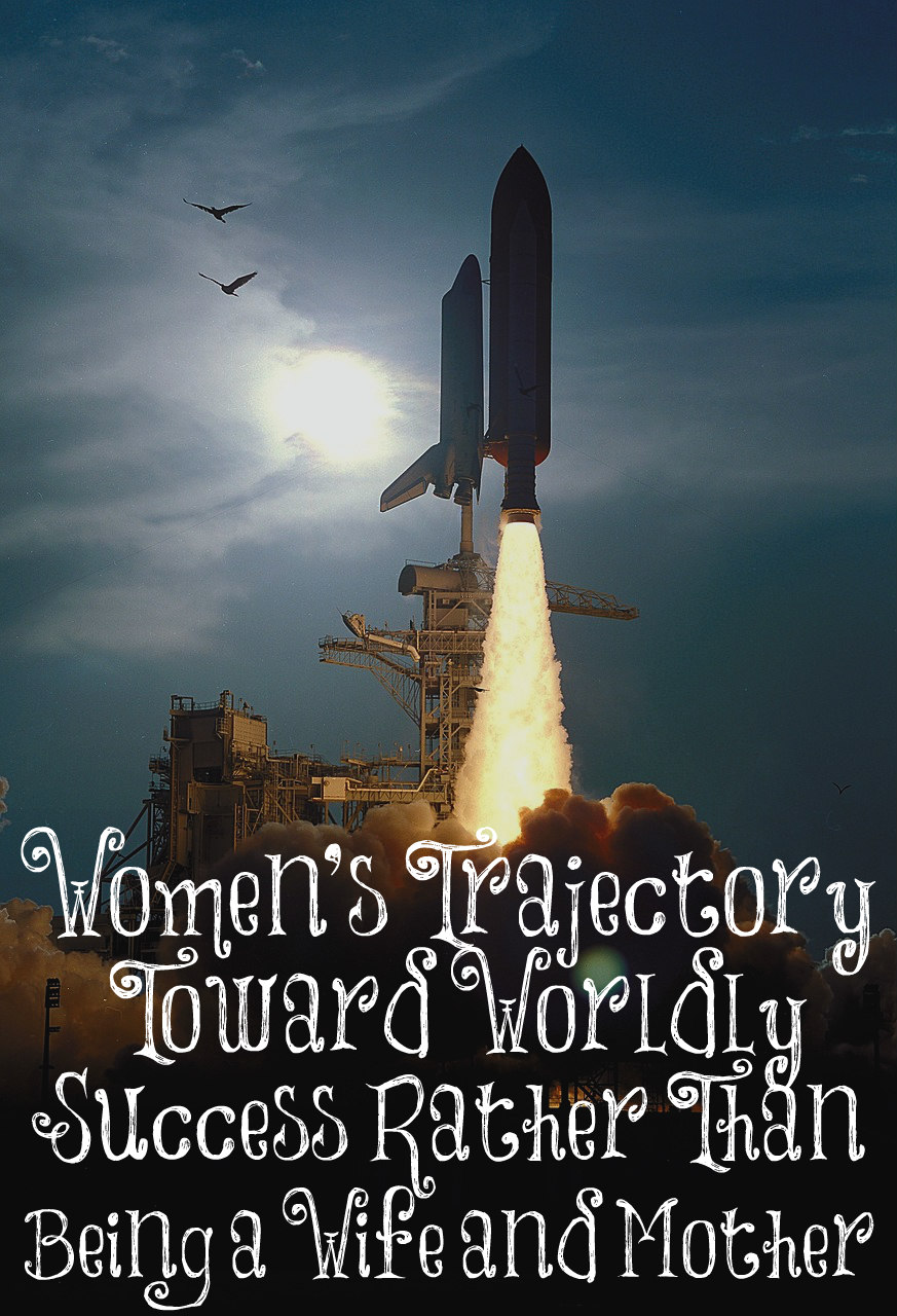Women’s Trajectory Toward Worldly Success Rather Than Being a Wife and ...